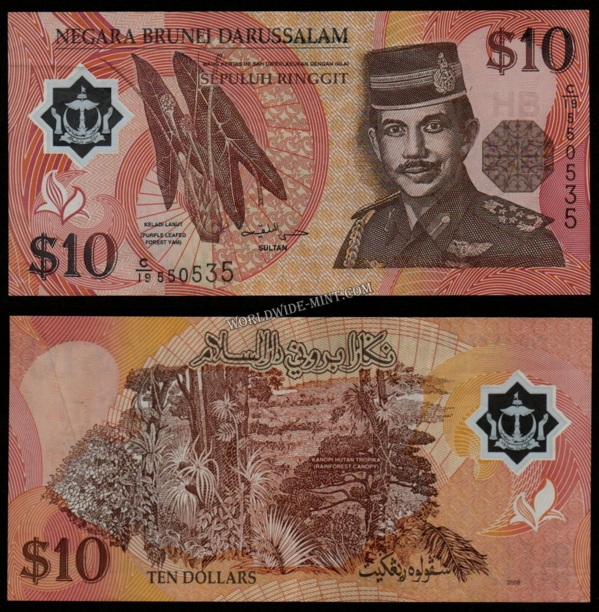 Brunei 10 Ringgit 2008 Polymer Fine Bank Note #UCN289 – Worldwidemint