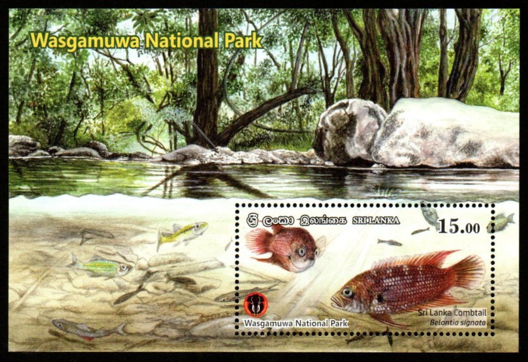 2019 Sri Lanka Wasgamuwa National Park Combtail Fish MS #S-69 ...