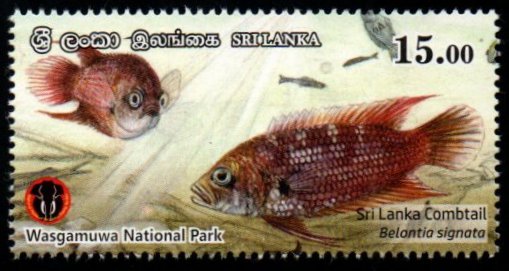 2019 Sri Lanka Wasgamuwa National Park Combtail Fish 1v MNH #S-69 ...