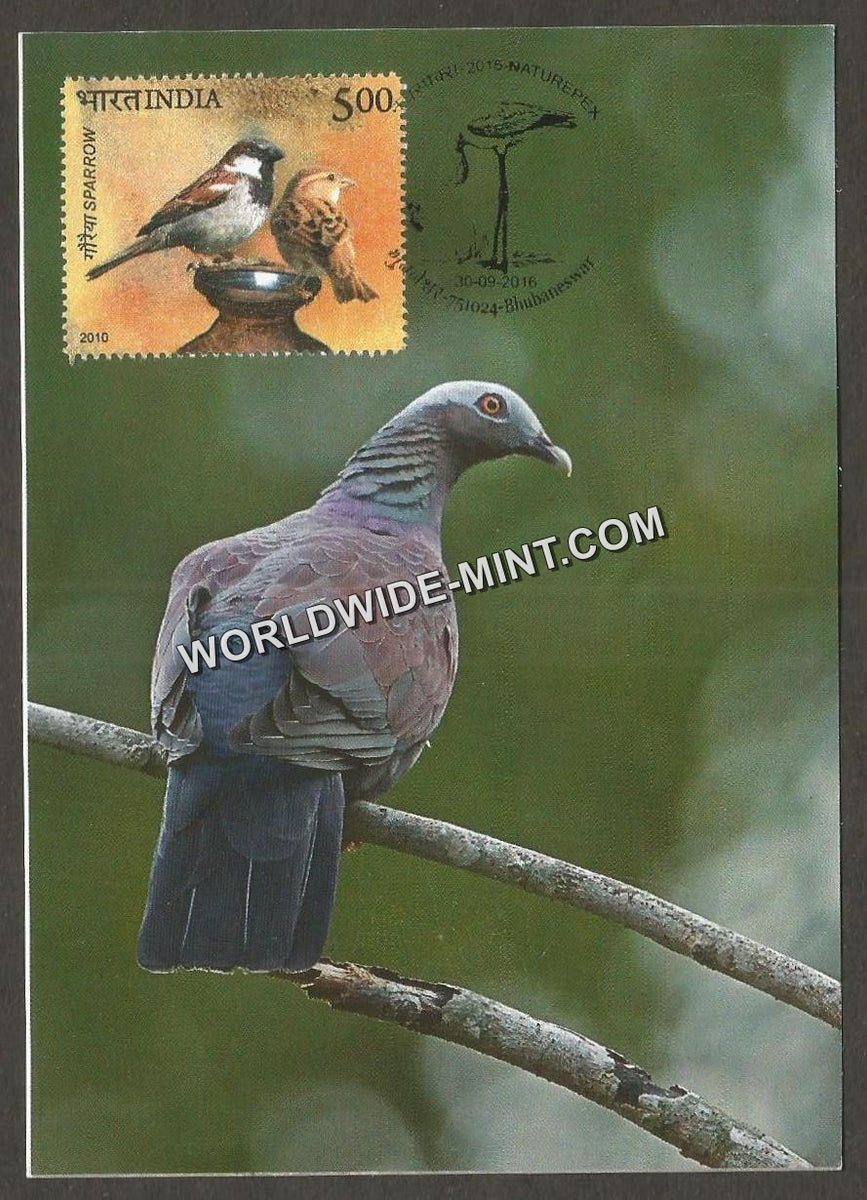 2016 Pale Capped Pigeon - Post Card #MC51 – Worldwidemint