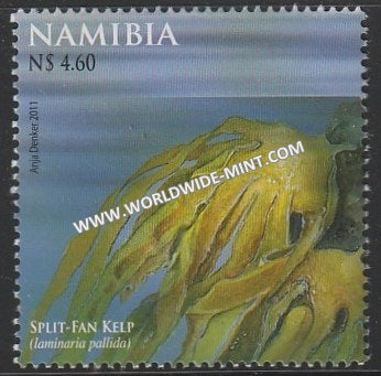 2011 Namibia - Marine life of Namibia - Kelp Sea Algae – Worldwidemint